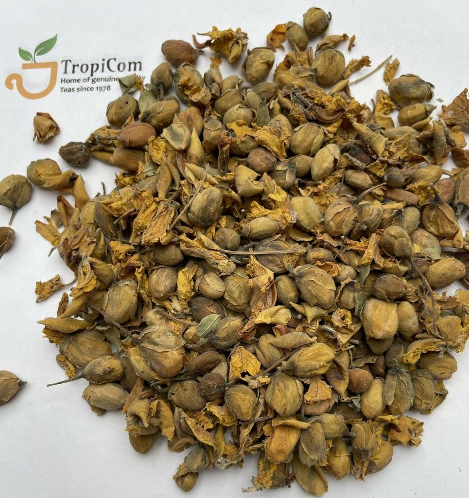 Ranawara Mal (Auriculata Cassia) Dried flower - TropiCom